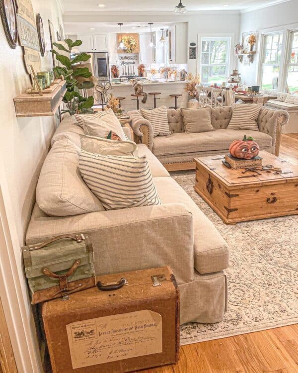 37 Farmhouse Rug Ideas for Living Room You Can’t Live Without