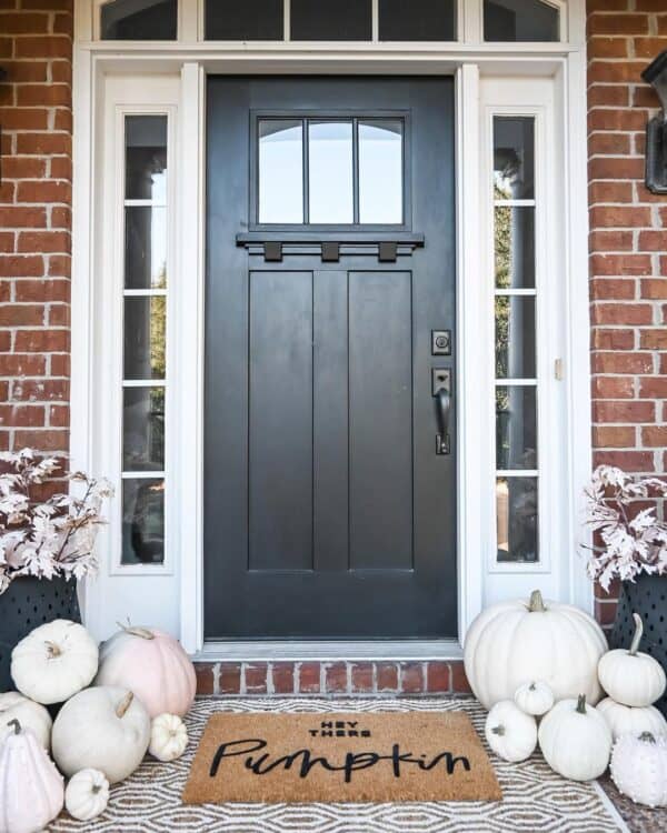 33 Beautiful Ideas for a Stunning Front Door with Sidelights